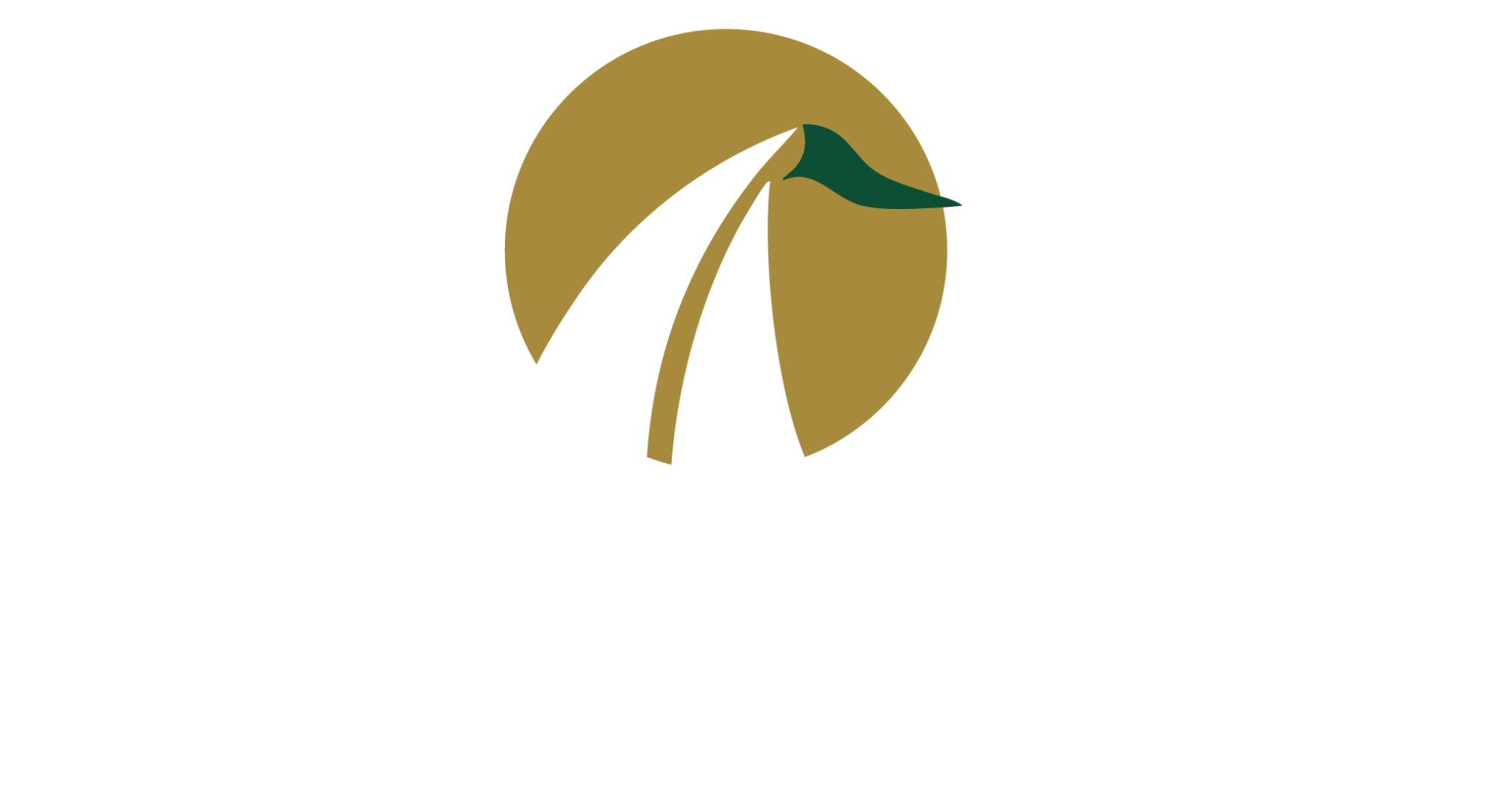 Franklin County Government Ameriflex Important Account Information 2025 ...